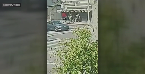 Man fatally stabbed on Hollywood Walk of Fame after violent dog attack
