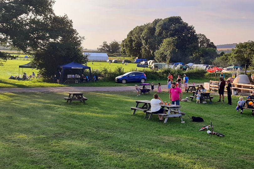 Tucked away New Forest family campsite is among is Britain's best on a ...
