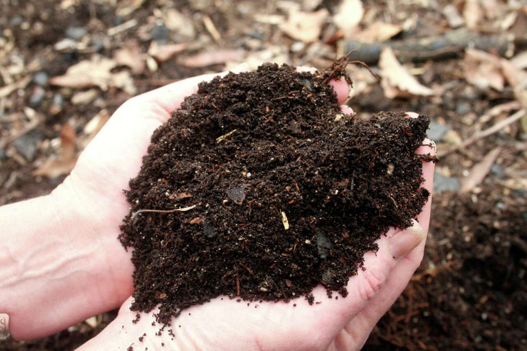 How to mulch garden beds without harming plants