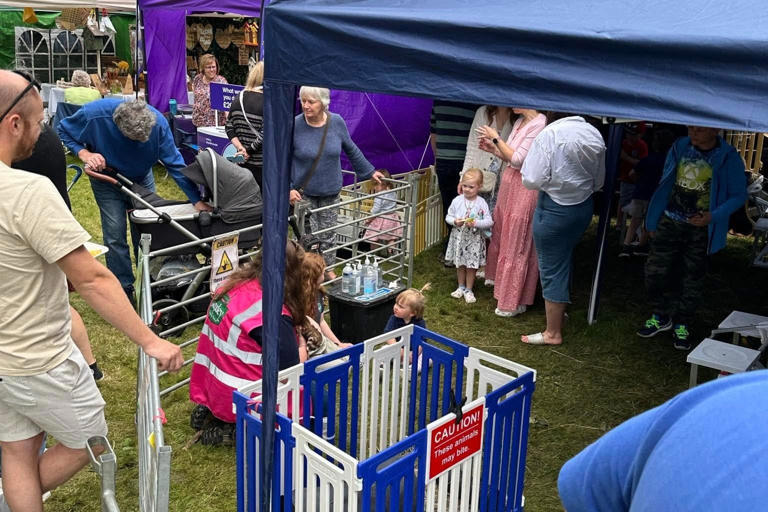Full steam ahead - Yaxley Vintage Festival weekend returns