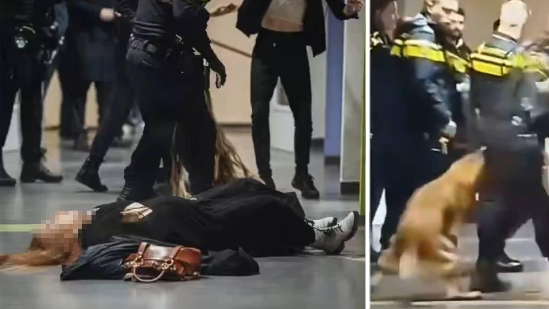 Zeist, Niederlande: Polizist reißt Schwangere zu Boden, Mann attackiert ...