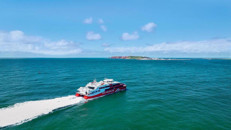 Helgoland: Tocotronic spielen live auf der Insel – so kommen Fans an Karten