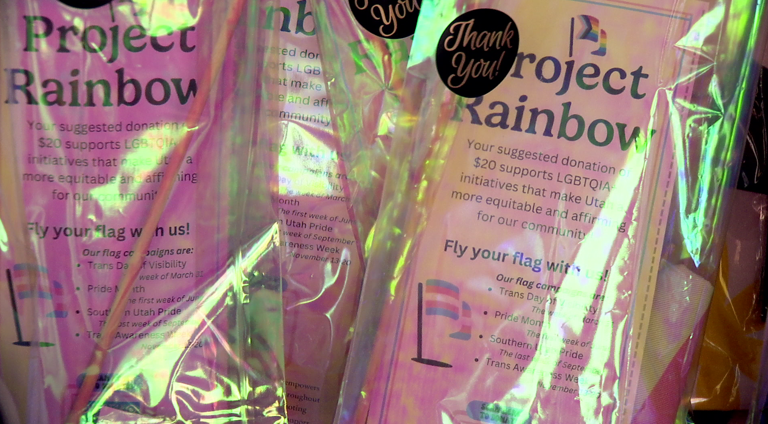An easy entryway into allyship: Project Rainbow distributes 2,500 pride ...