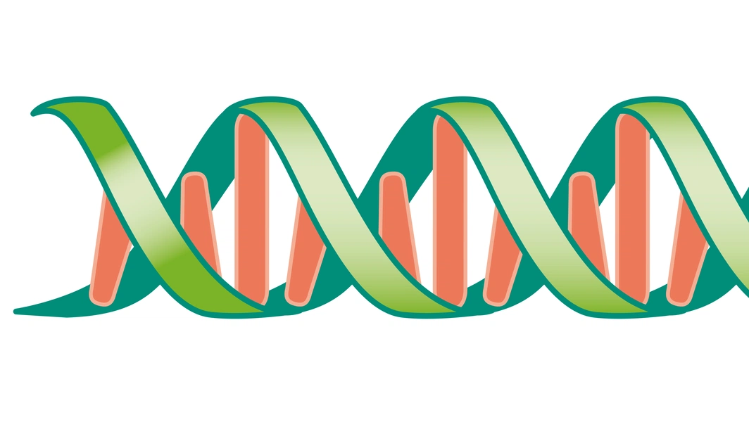 Scientists find humans share 84% of DNA with dogs