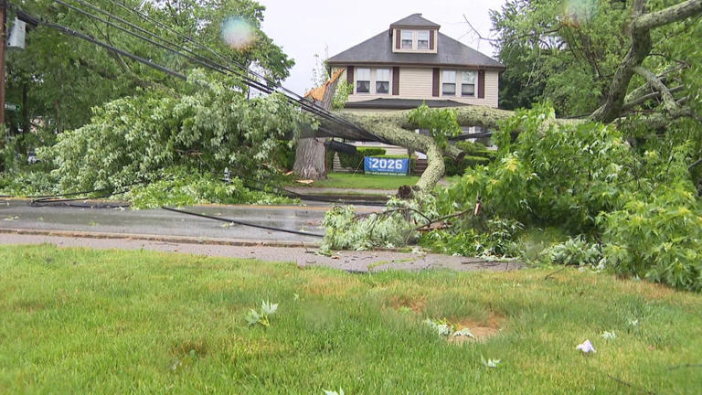 Thousands lose power in Massachusetts after wind gusts bring down trees ...