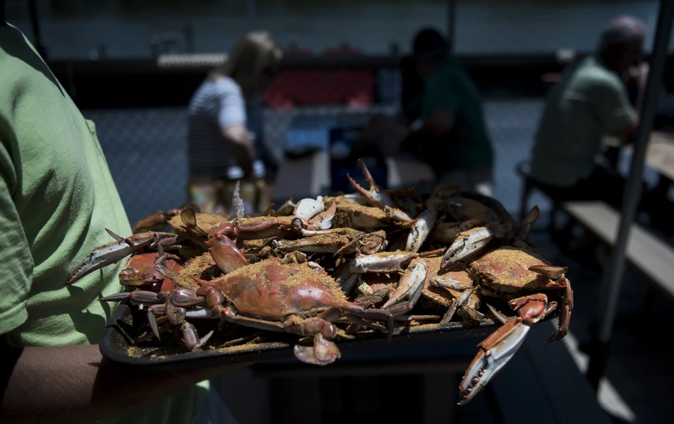 Annapolis, Morro Bay emerge as new crab dining hotspots