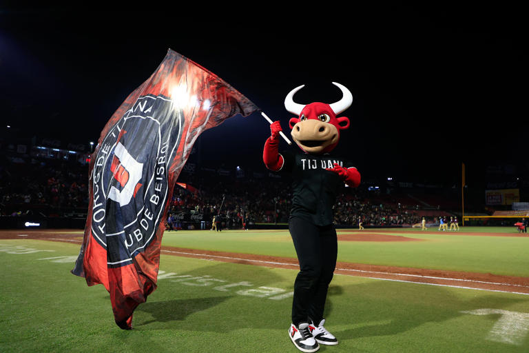 Sultanes vs. Toros en vivo: ¿Dónde y a qué hora ver juego hoy 30 de ...