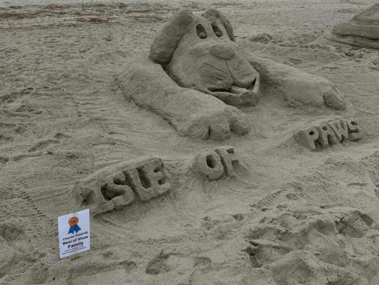 Piccolo Spoleto sand sculpting competition Saturday: Gallery