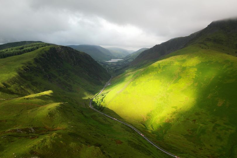 Long-lost plants in Eryri not missing after all
