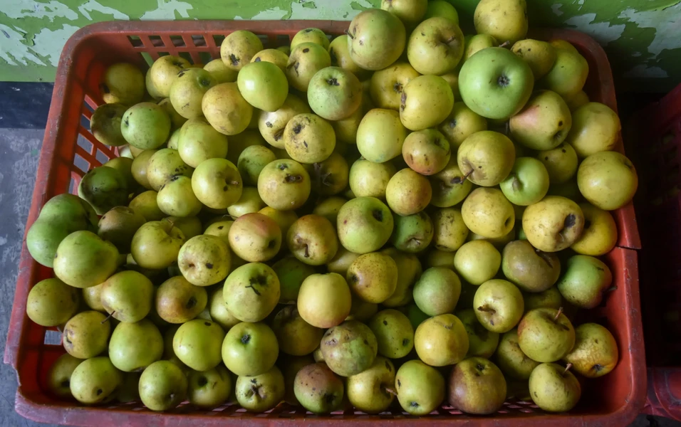 Apple pie secrets bakers swear by