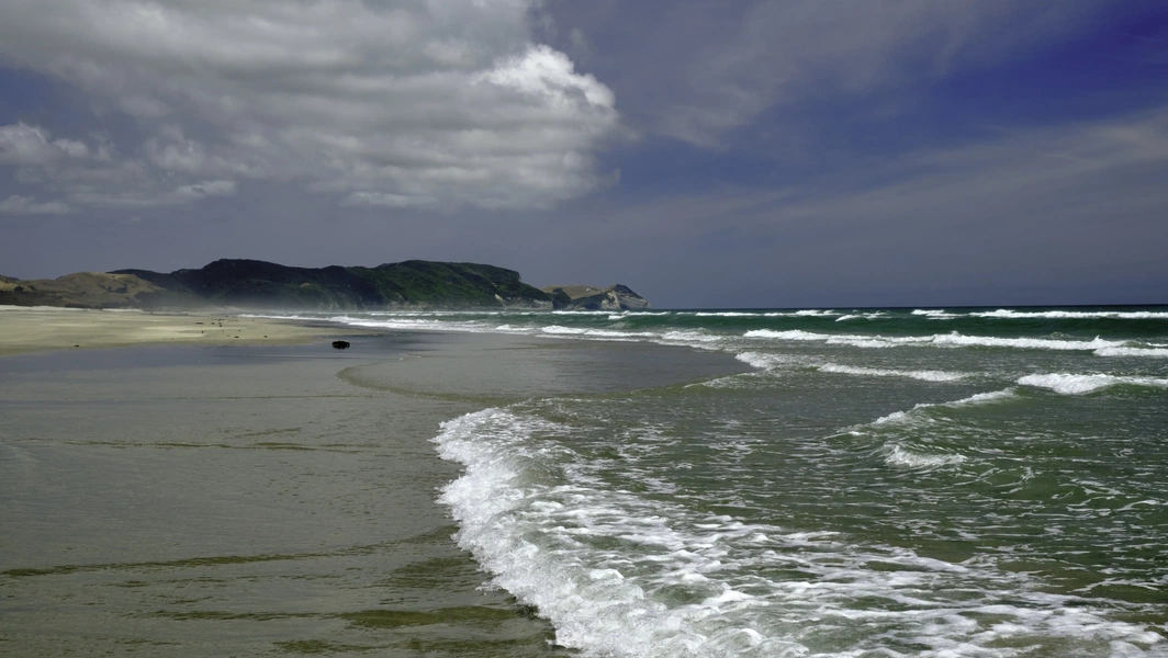 Coastal foraging adventures for nature-loving foodies