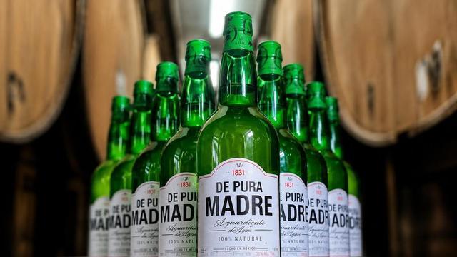 De Pura Madre, la única sidra sobre la madre con nombre propio