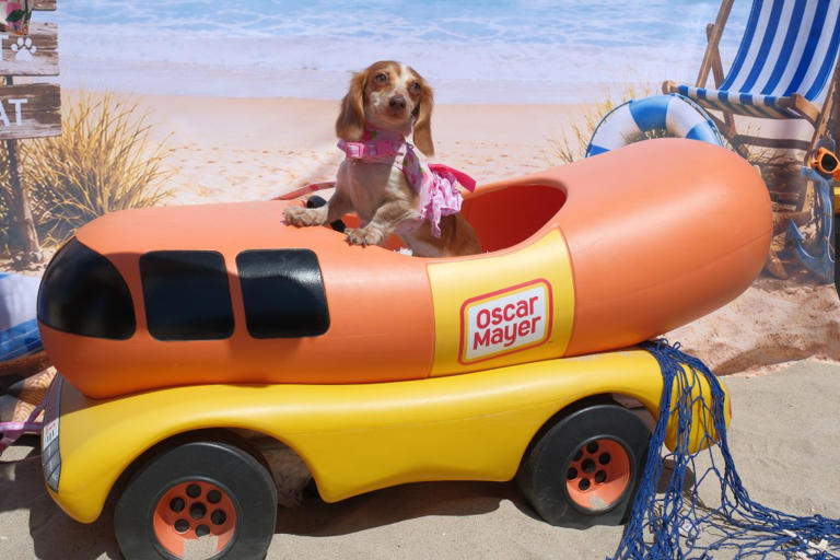 Wiener wonderland at Huntington Beach for 'SoCal Wienerfest'