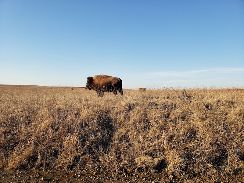 These 9 scenic Osage County drives turn every Oklahoma sunset into a ...