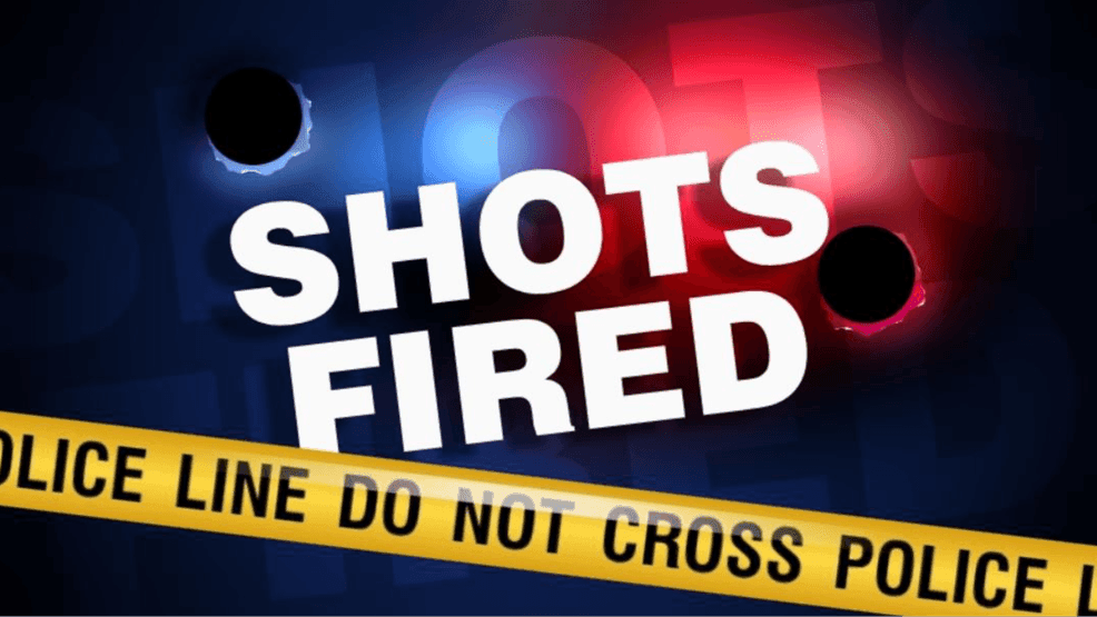 No threat to public following reports of shots fired in Robersonville ...