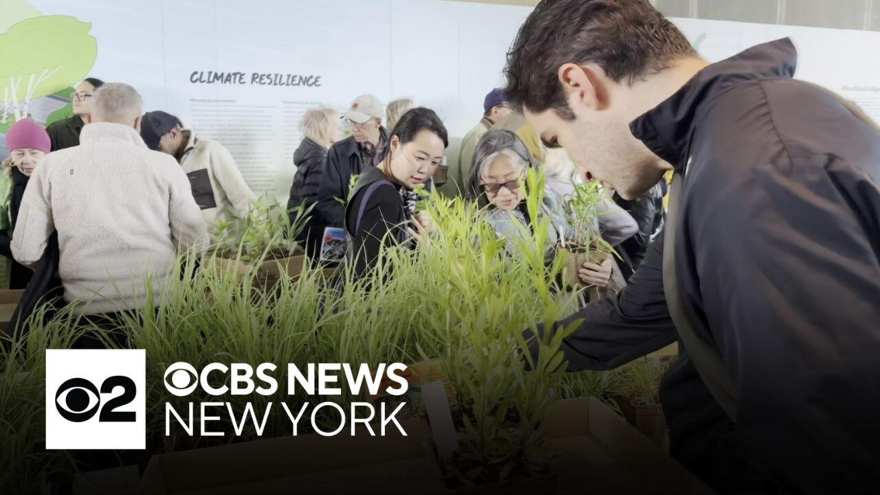 High Line hosts first ever plant sale