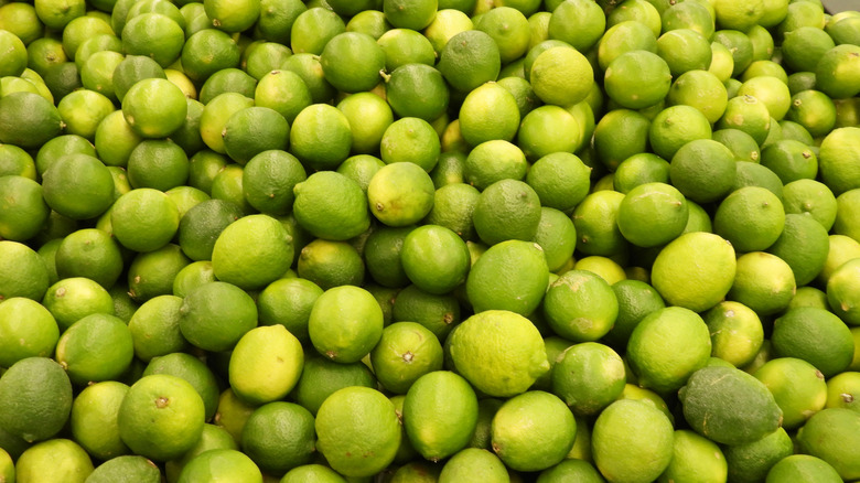 10 Types of Lime, explained