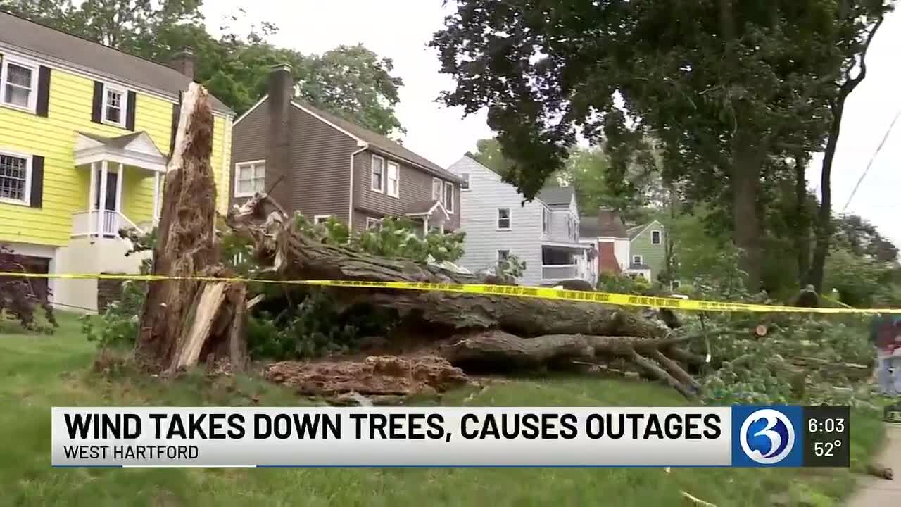 3,000 remain without power after wind knocks down trees across Connecticut