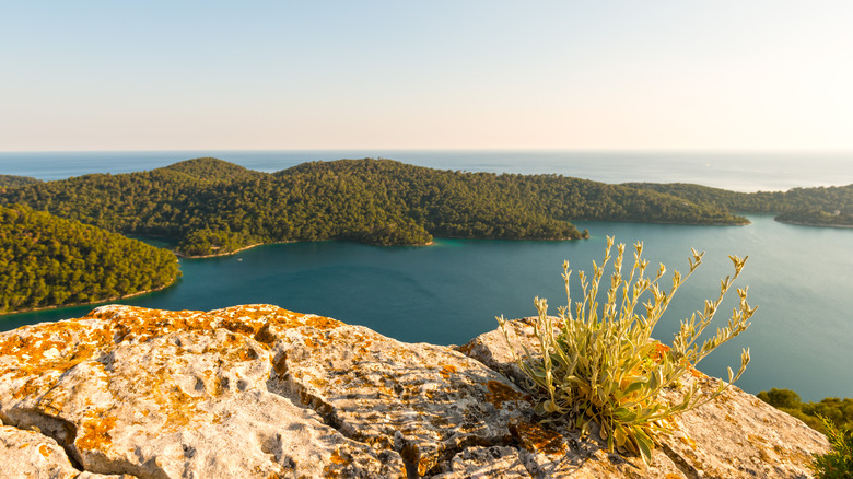 The 'greenest island in Croatia' is a beautiful haven with beaches ...