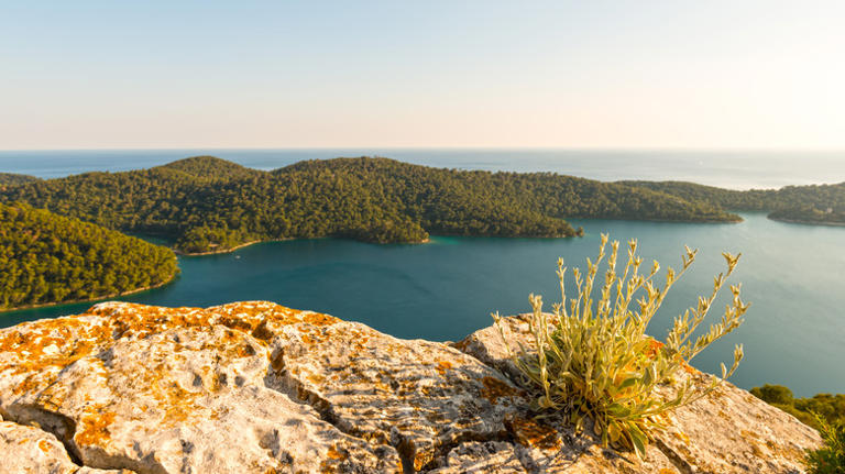 The 'greenest island in Croatia' is a beautiful haven with beaches ...