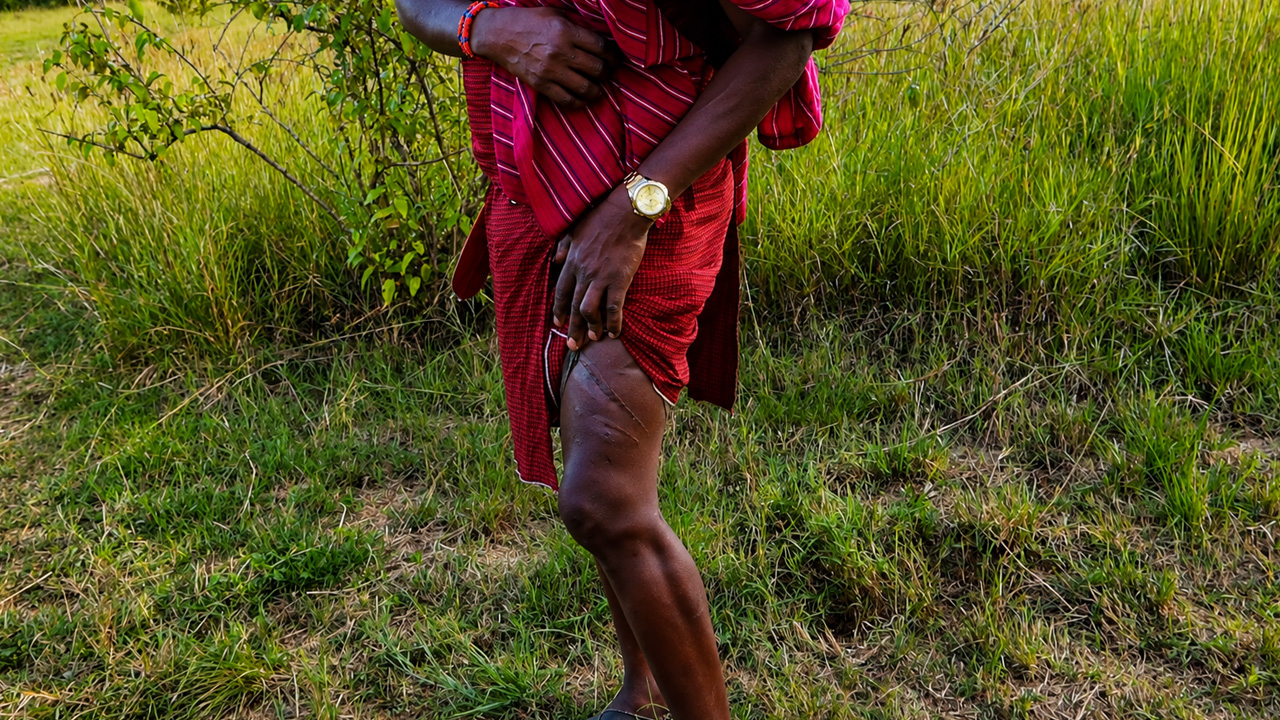 Exploring Wildlife and Secret Lion Fighting Marks in Masai Mara