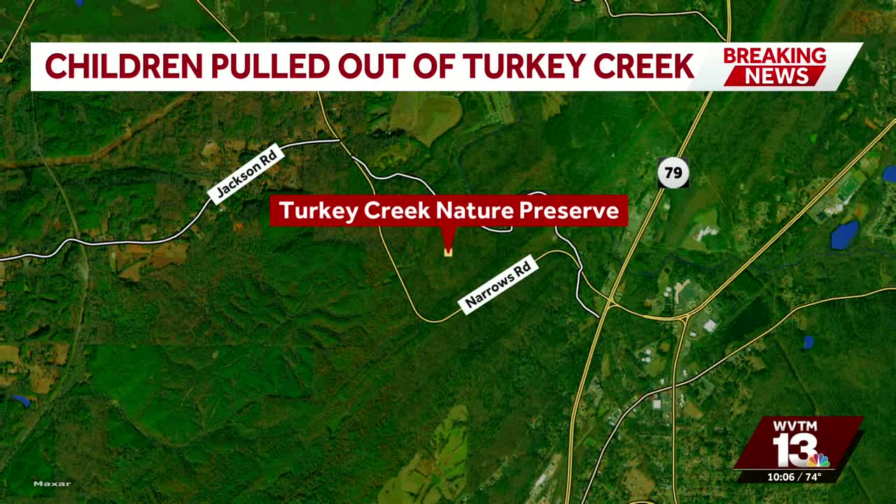 Two children in critical condition after being swept away at Turkey ...