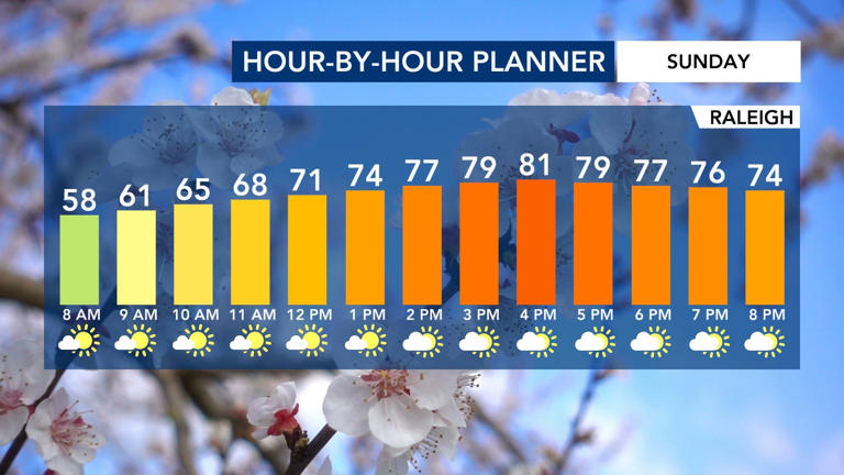 Brief showers possible Saturday night, comfortable Sunday ahead