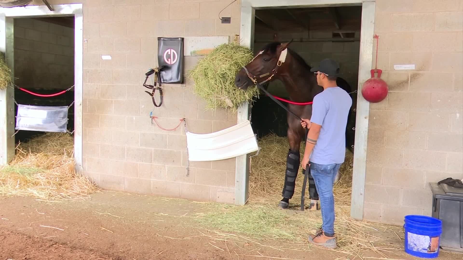 DeVaux's Golden Tempo preparing for Beaumont Stakes