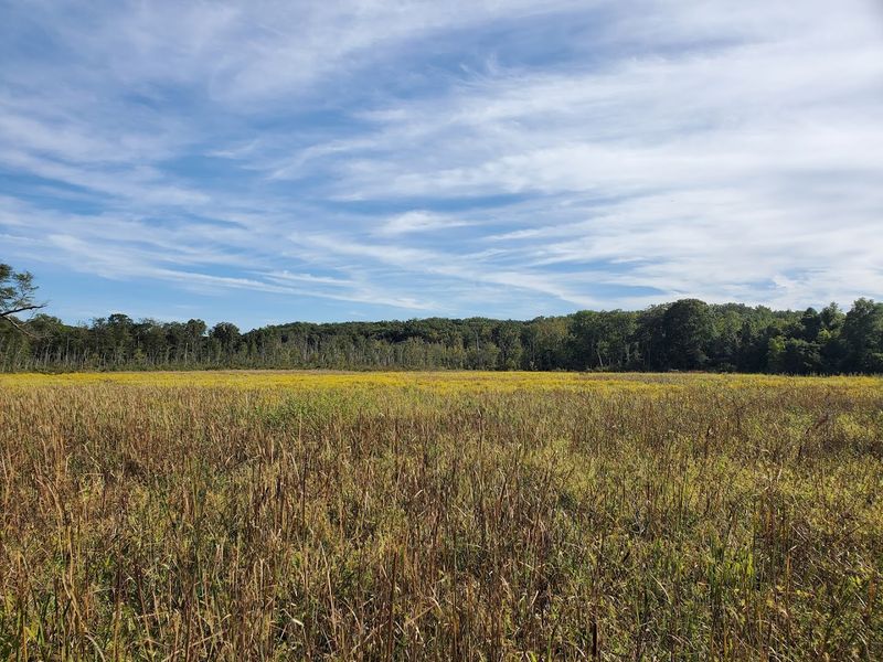 This Maryland Narnia trail turns an ordinary family walk into a magical ...