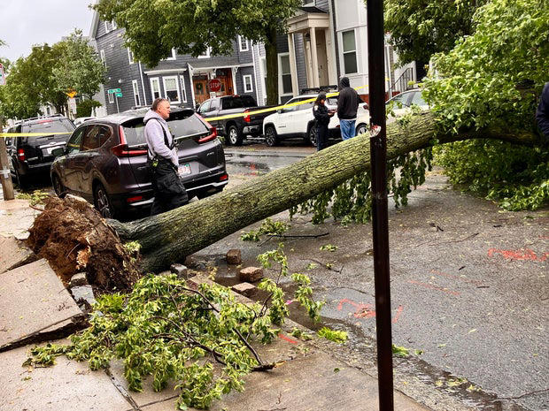 Thousands lose power in Massachusetts after wind gusts bring down trees ...