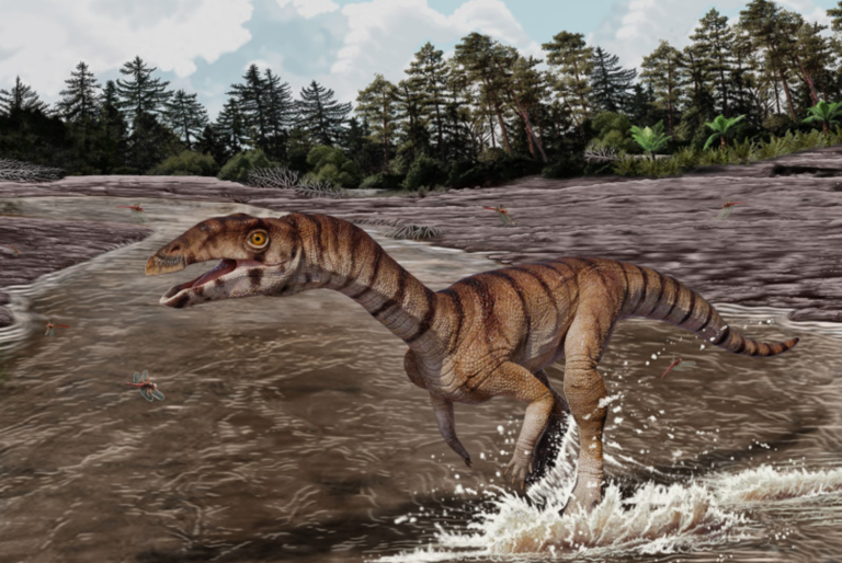 Triassic fossil reveals a beaked, bipedal reptile that looked like an ...
