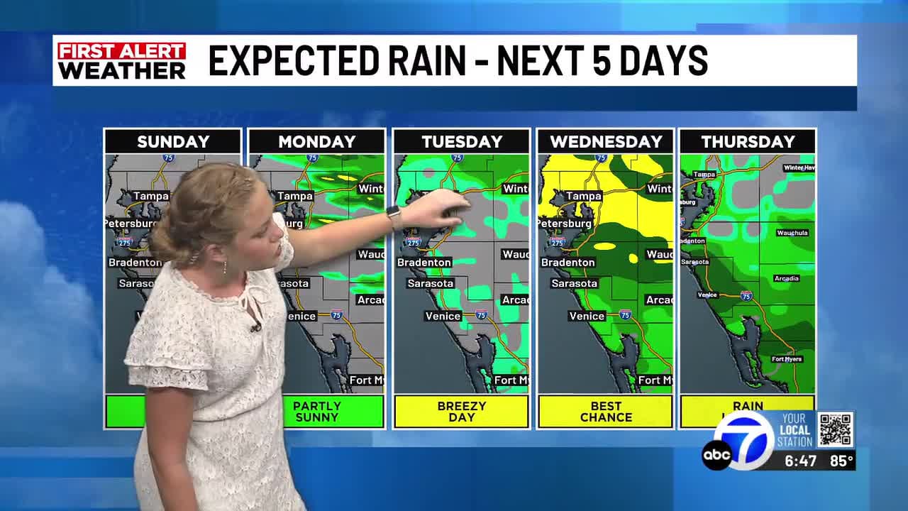 Cold front to bring rain and wind this week