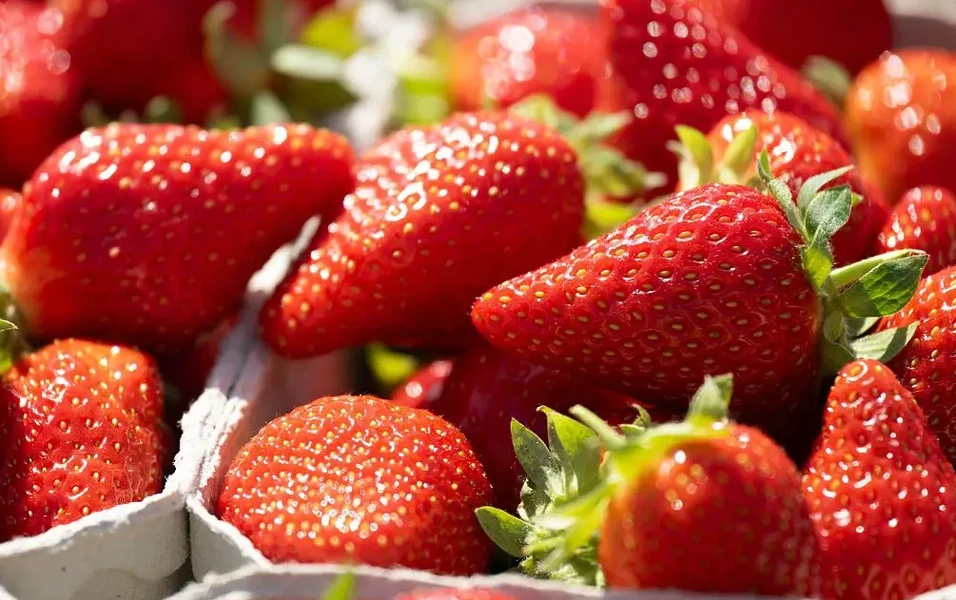 Strawberry ice cream innovations spotlight premium ingredients and bold ...