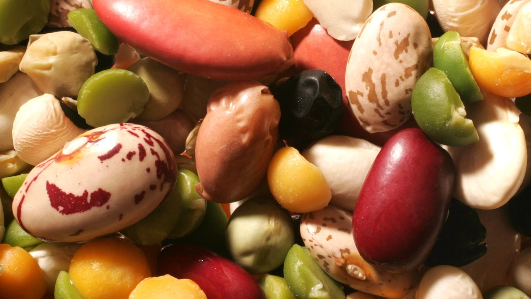 Canned beans earn spot on hypertension-friendly food list