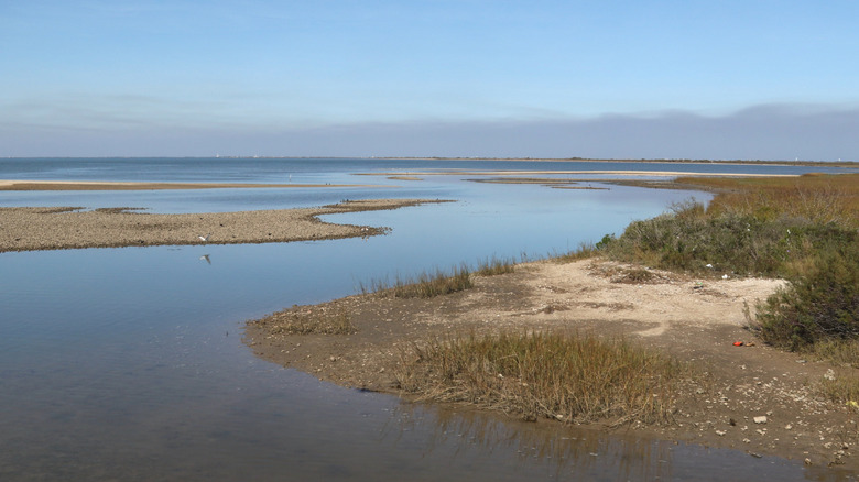 A Texas state park expected to open by 2030 will transform the shores ...