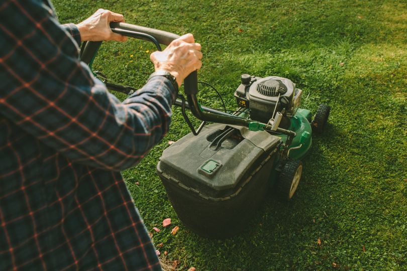 Gardeners warned over lawn mistake that leaves grass 'scorched' in summer