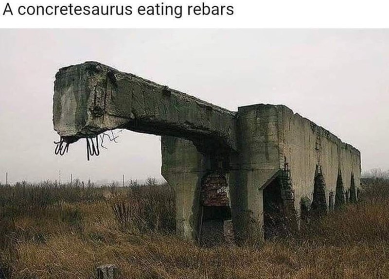 19 dinosaur memes from prehistoric times