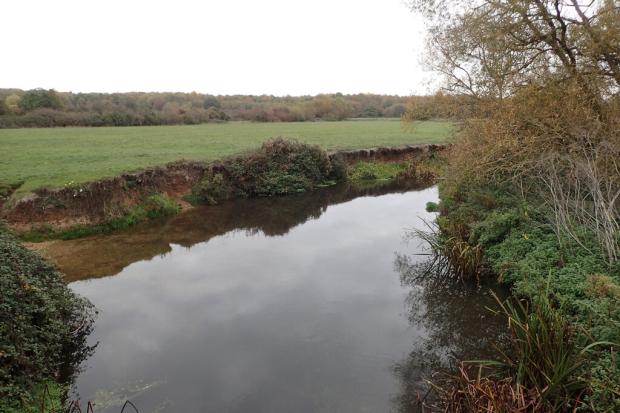 Colchester society 'shocked and horrified' over potential sale of huge ...