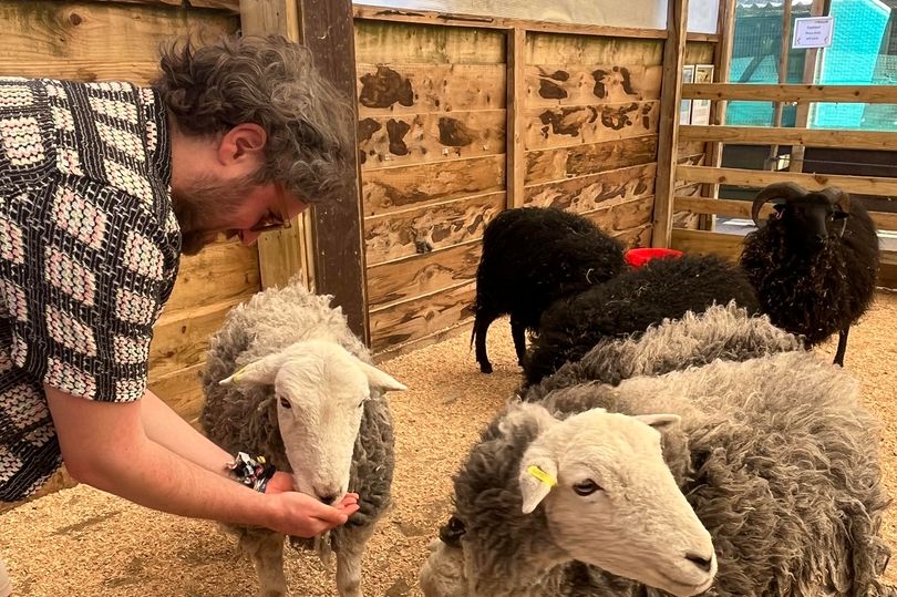 Amazing wildlife park over the Yorkshire border home to wonderful ...