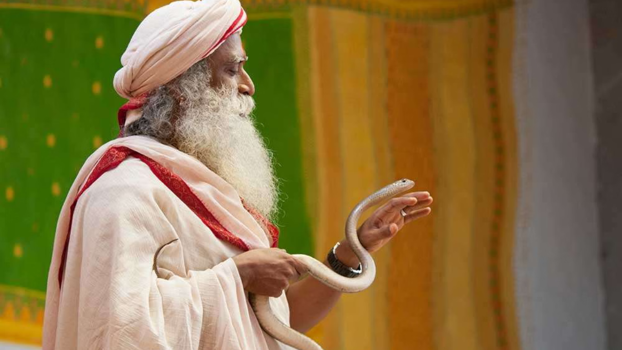 Sadhguru once lived with 20 cobras in his bedroom: His explanation ...