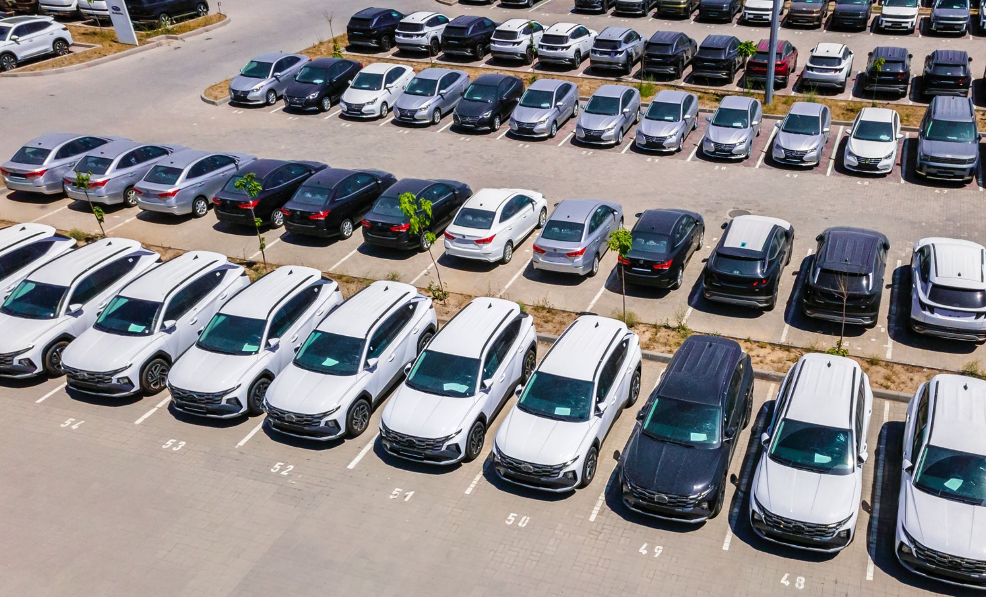 MPs target 12 Motability vehicles in escalating dispute over car choices