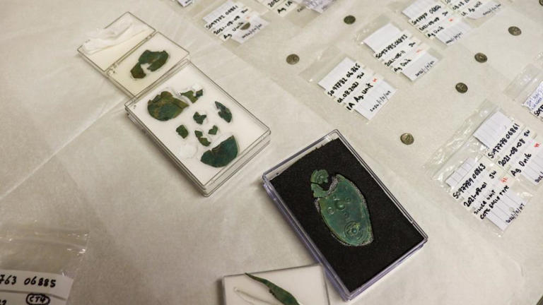 Museum buys Iron Age hoard found by detectorist