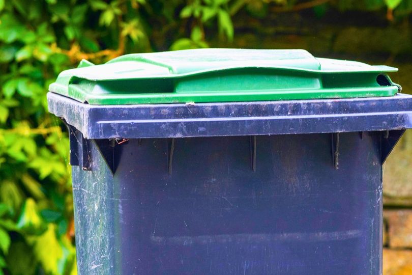 Wheelie bins will stay clean without flies if you place everyday item ...