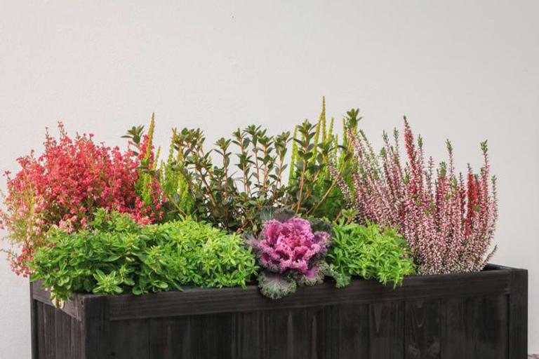 B&M's foldaway £20 garden accessory that adds charm is perfect for flowers