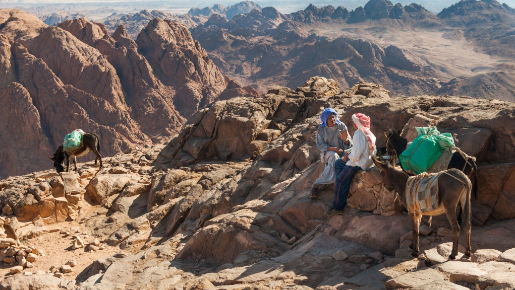 Ancient inscriptions and fortresses of Egypt's Sinai