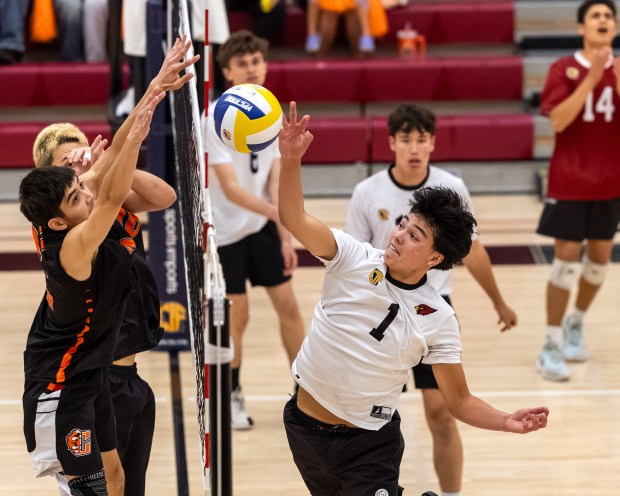 Santa Cruz caps historic postseason with first state championship ...