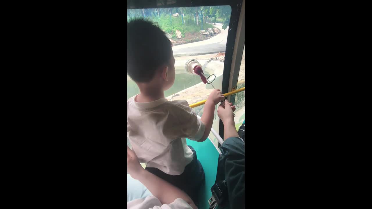 Child feeds tiger through protected enclosure in Henan, China