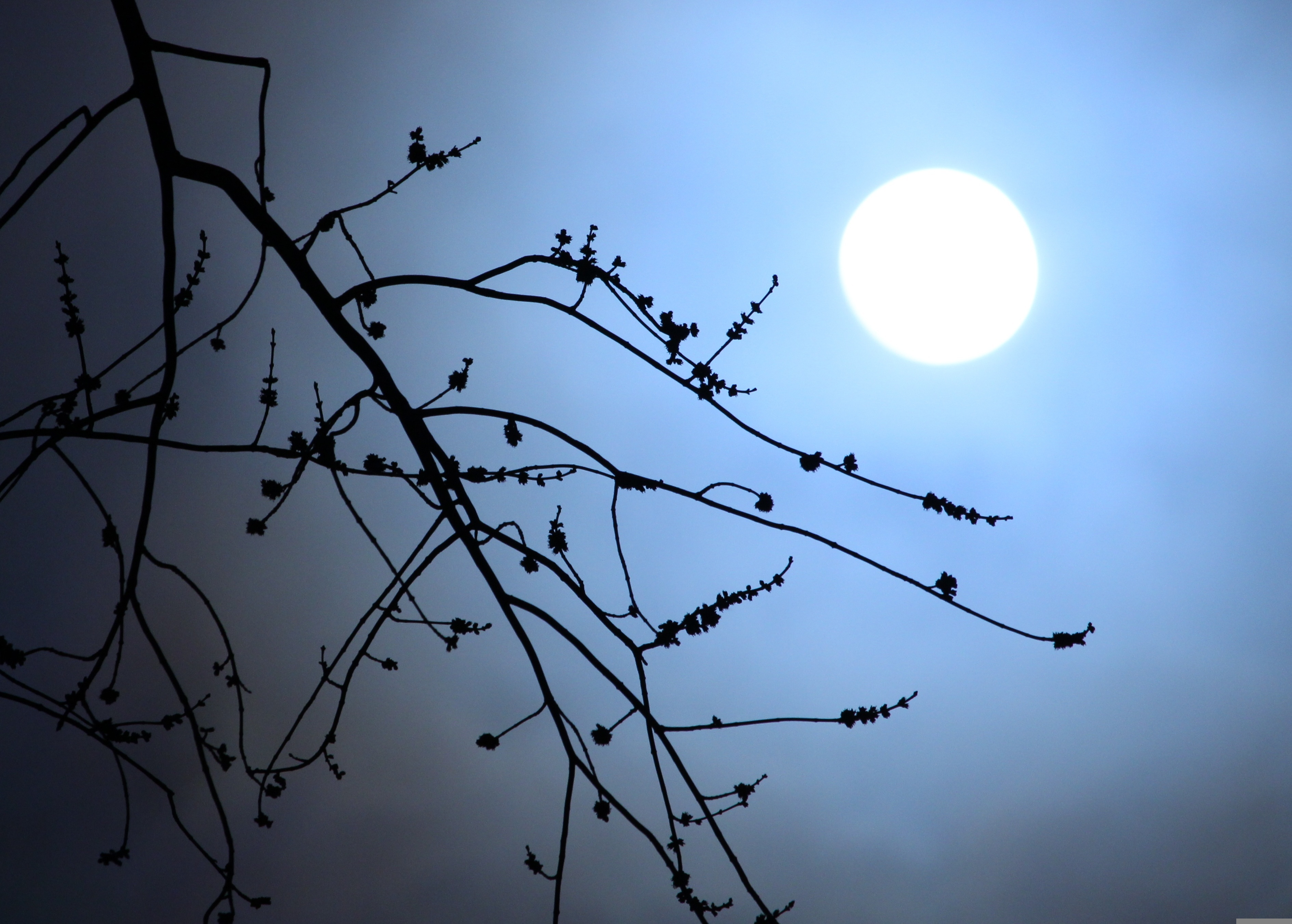 What is the blue full moon? Meaning, where to watch and what time will ...