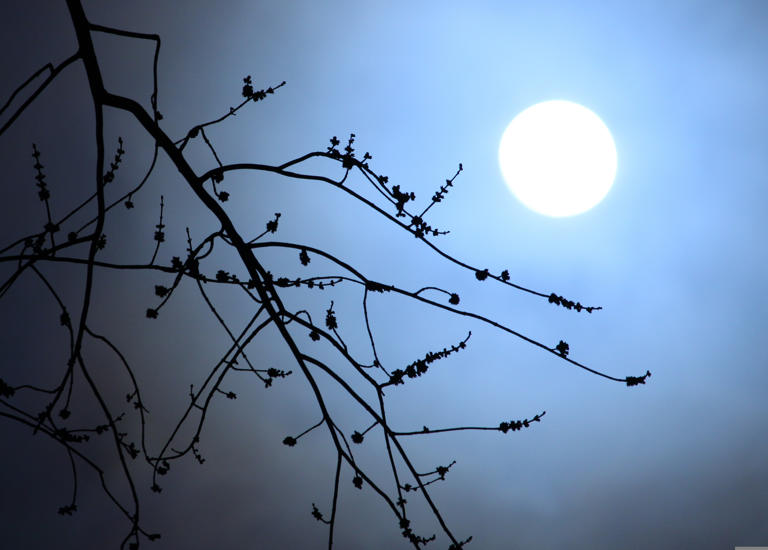 What is the blue full moon? Meaning, where to watch and what time will ...
