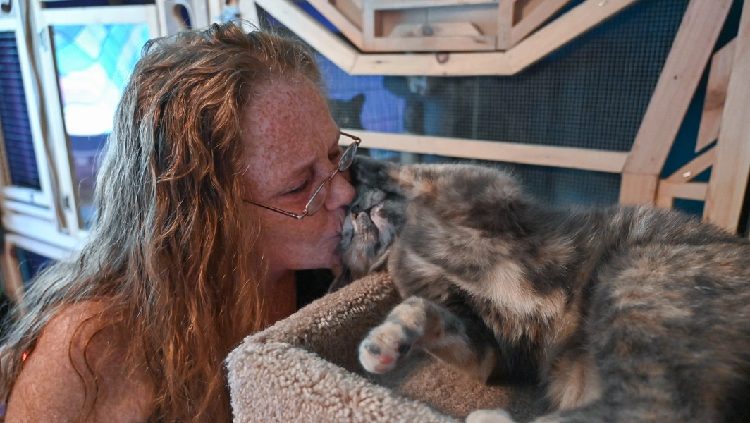 9 inspiring cat rescue stories